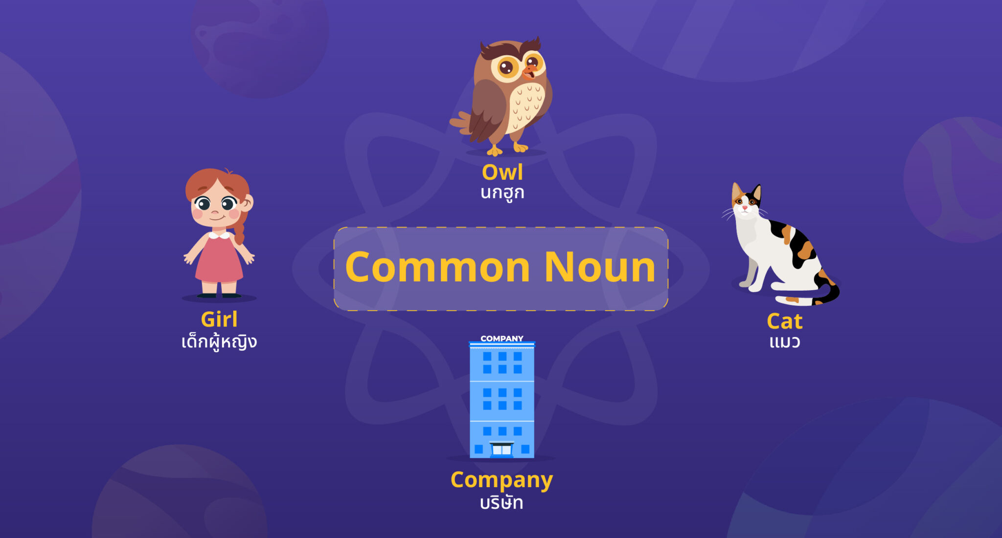Common Noun คืออะไร? โครงสร้างและแบบฝึกหัดการใช้งาน