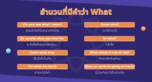 What แปลว่า อะไร? วิธีใช้และการใช้ What ในประโยคคําถาม