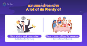 A lot of ใช้ยังไง? ความแตกต่างระหว่าง Many, Much และ Plenty of